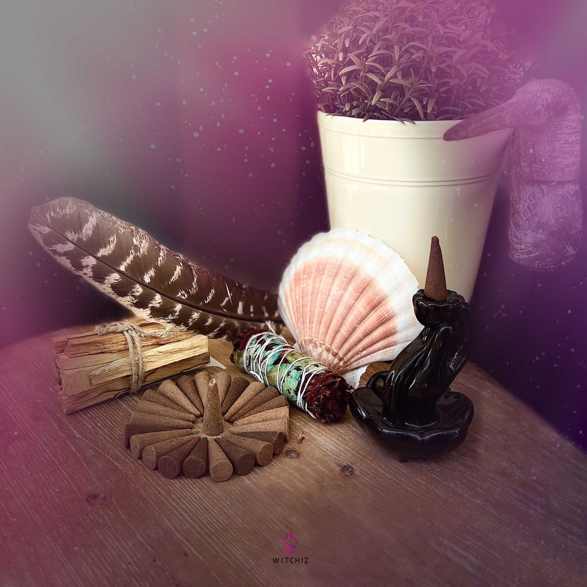 Box Fumigation | Witchiz